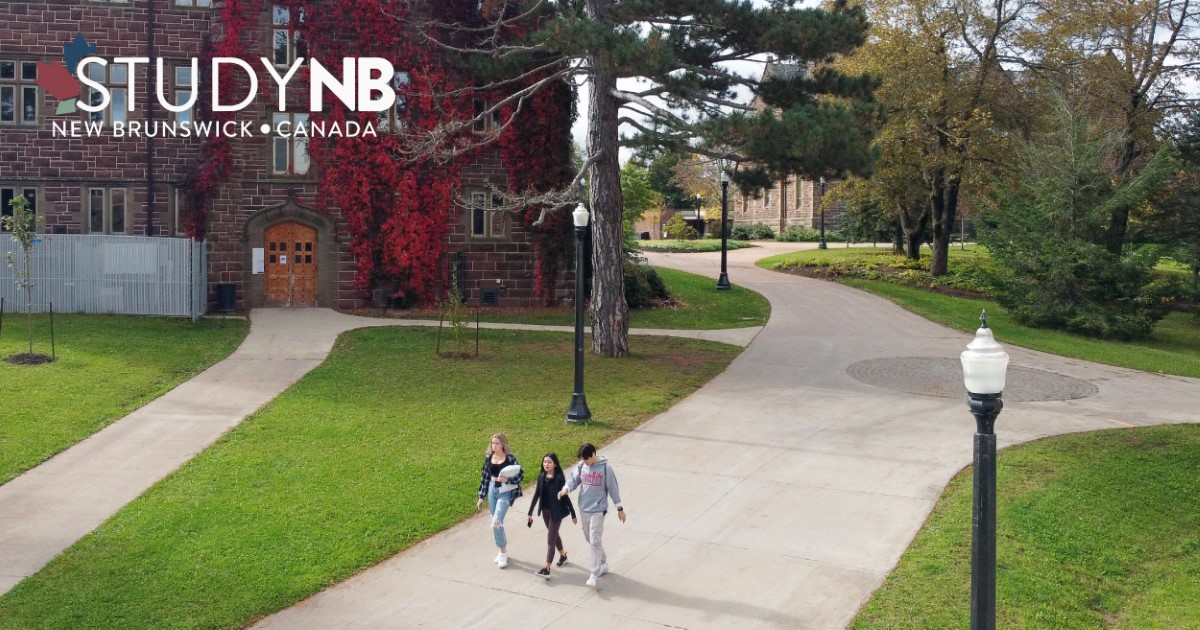 Home | Study NB | Where Education Meets Innovation